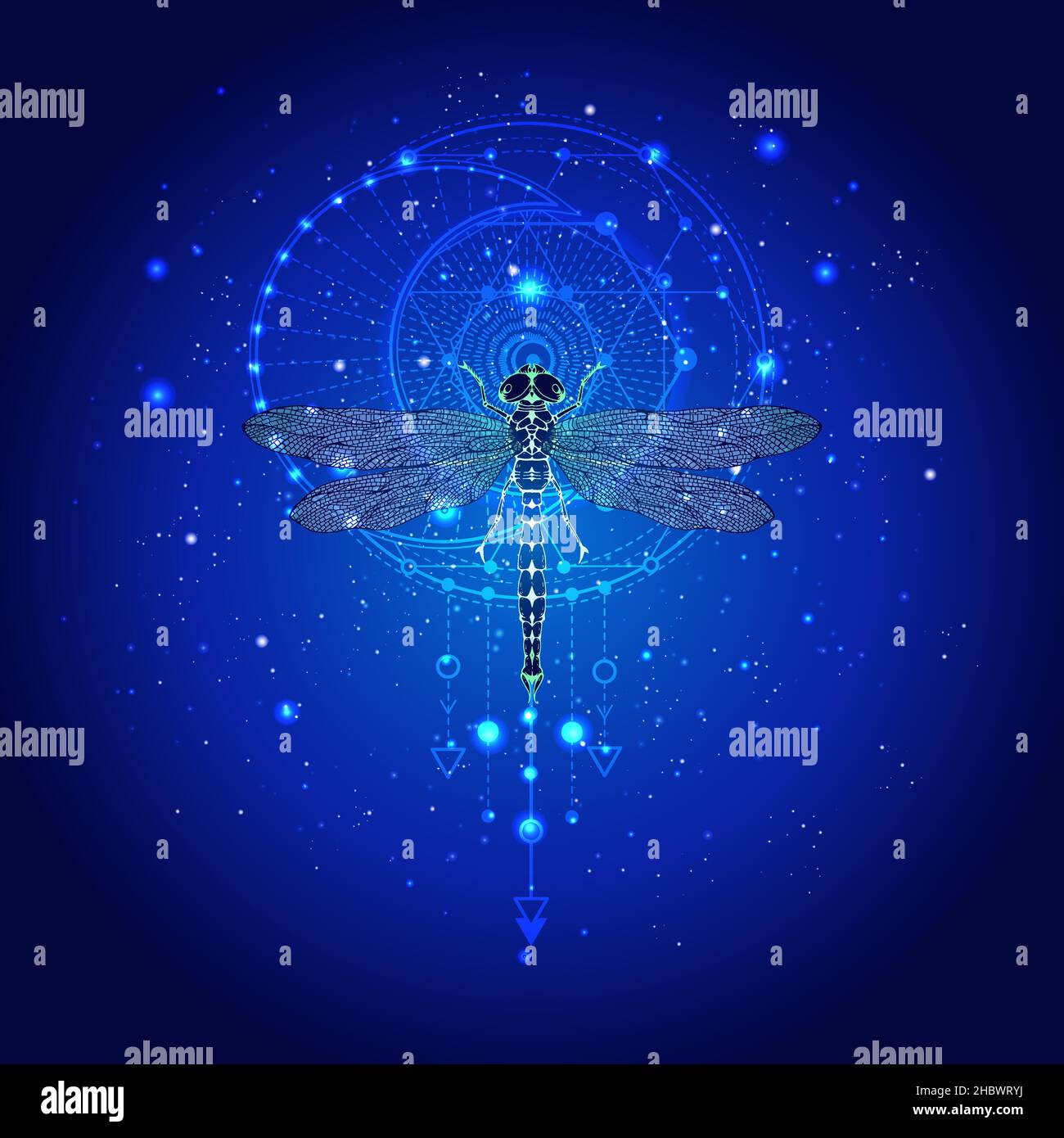 Vector illustration with hand drawn dragonfly and Sacred geometric ...
