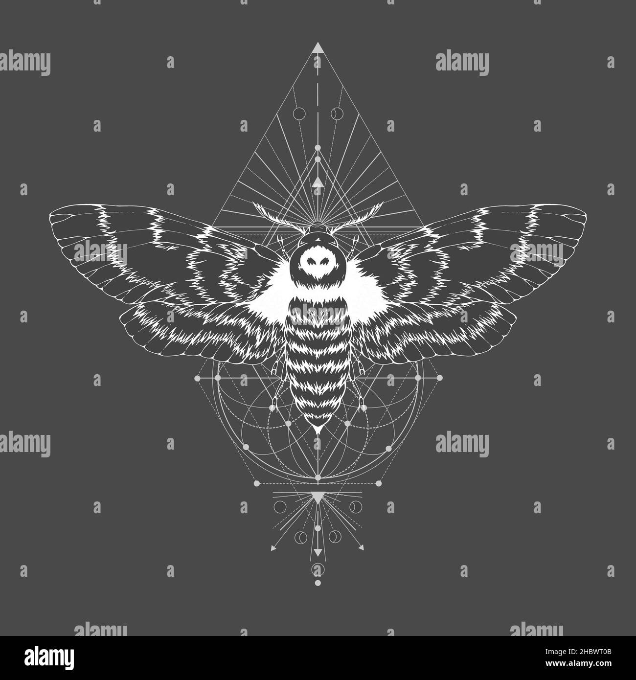 Vector illustration with hand drawn dead head moth and Sacred geometric ...