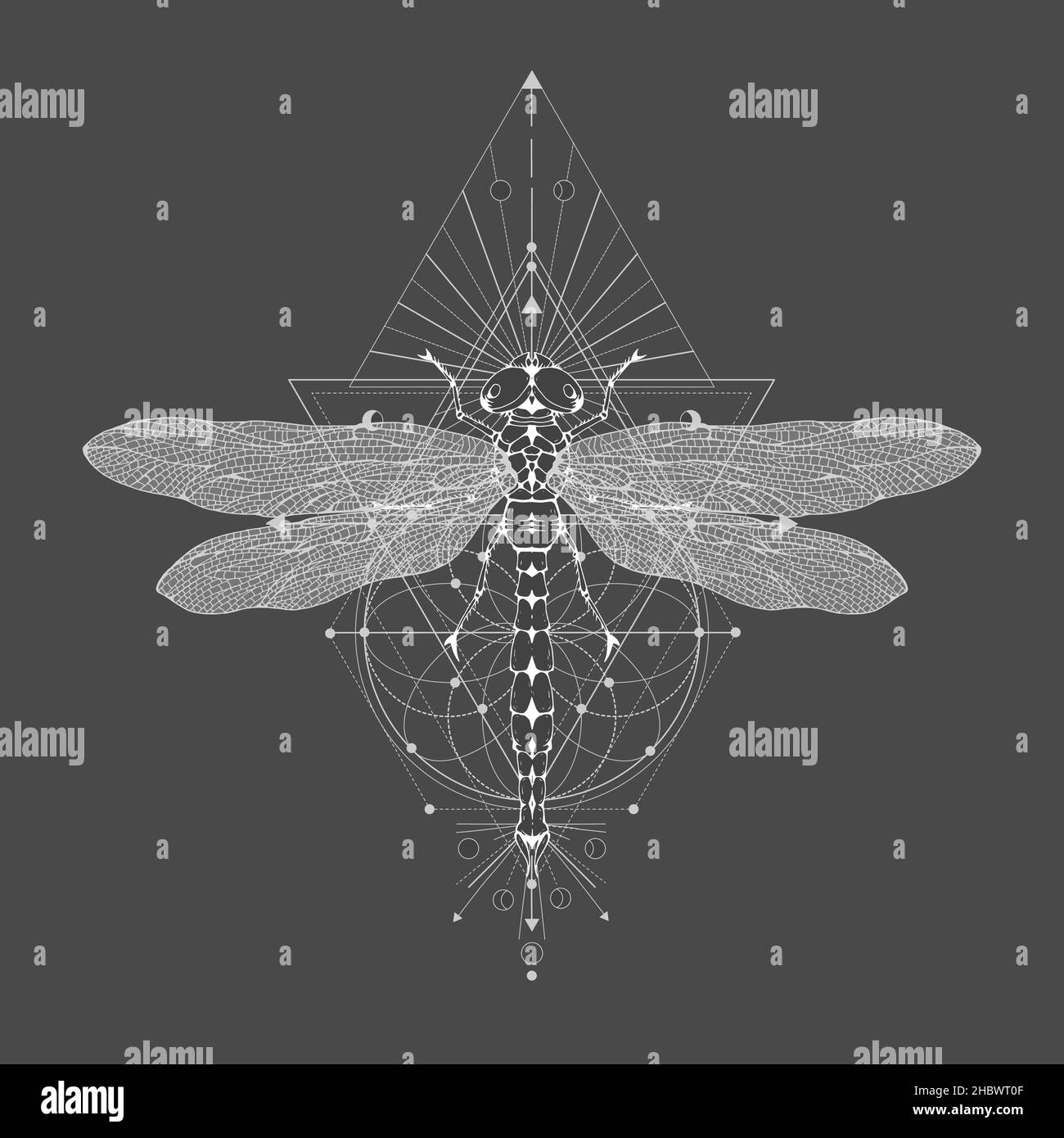 Vector illustration with hand drawn dragonfly and Sacred geometric ...