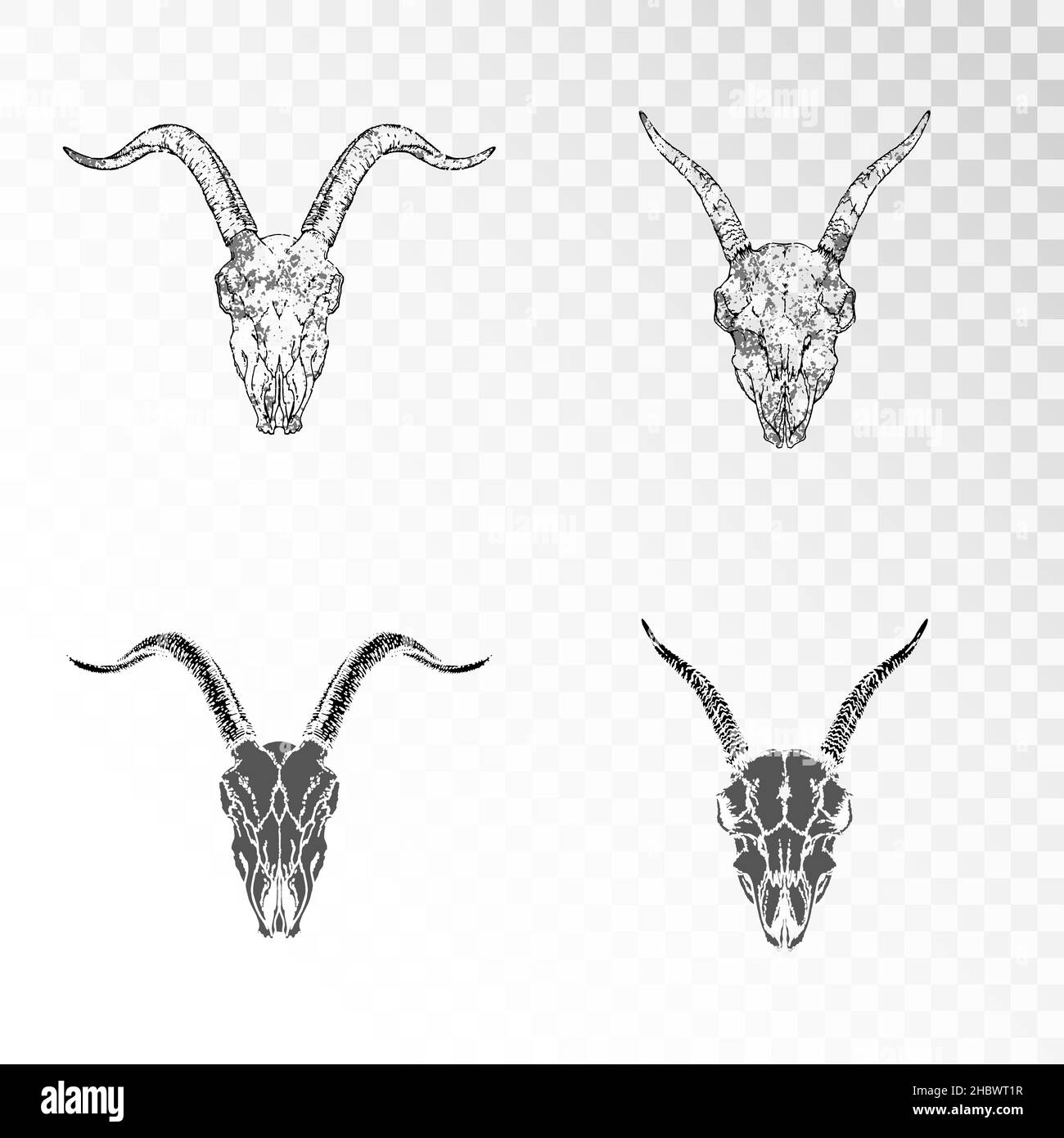 Vector set of hand drawn skulls of goats on transparent background ...