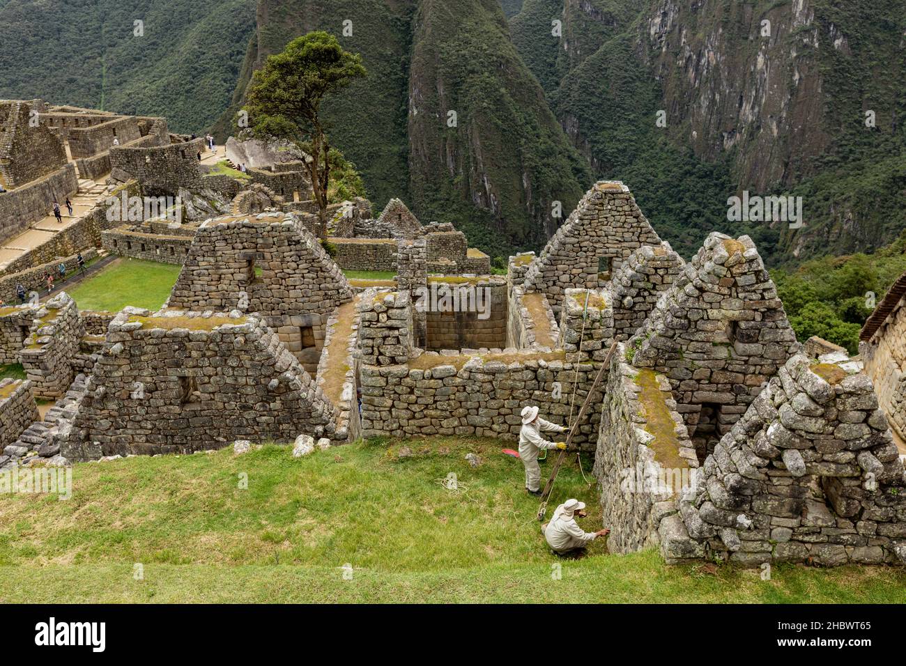 MACHU PICCHU, PERU - MARCH 9, 2019: Restoration work of the ruins in ...
