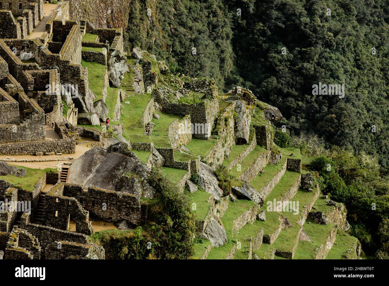 Machu Picchu and its terraces, Peru, South America Stock Photo - Alamy