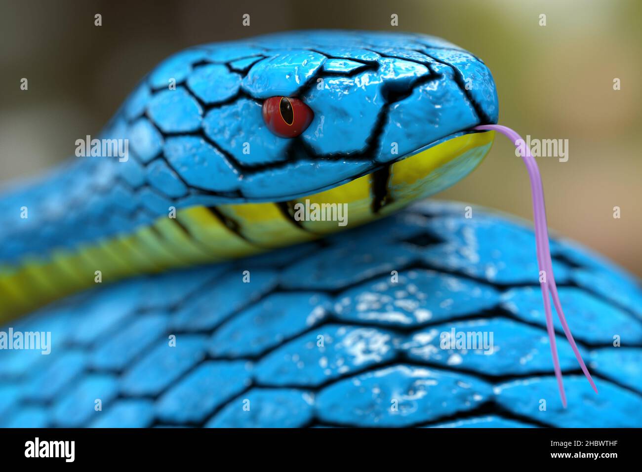 Blue Mamba Snake