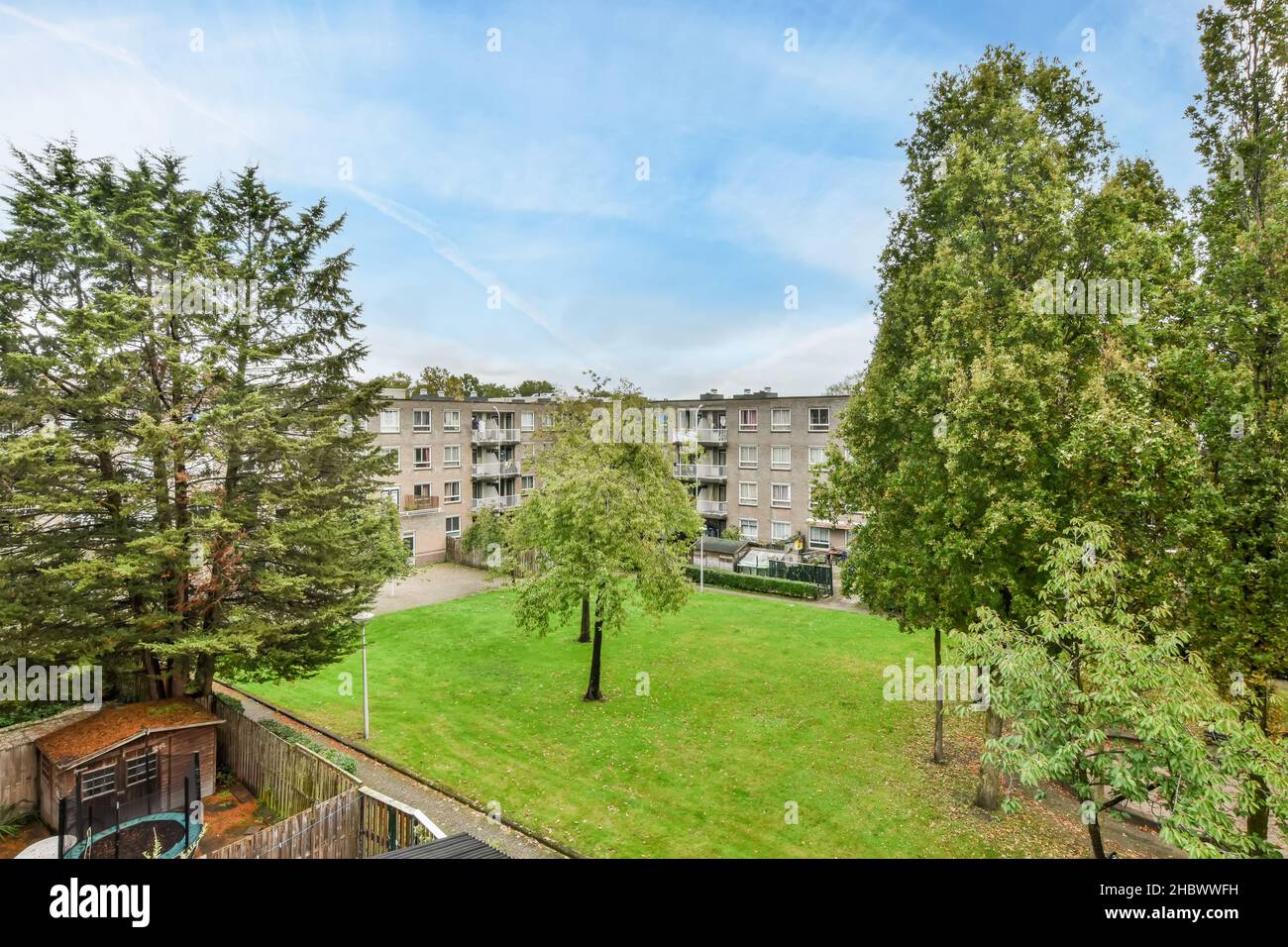 Landscape of a beautiful park with tall trees Stock Photo - Alamy