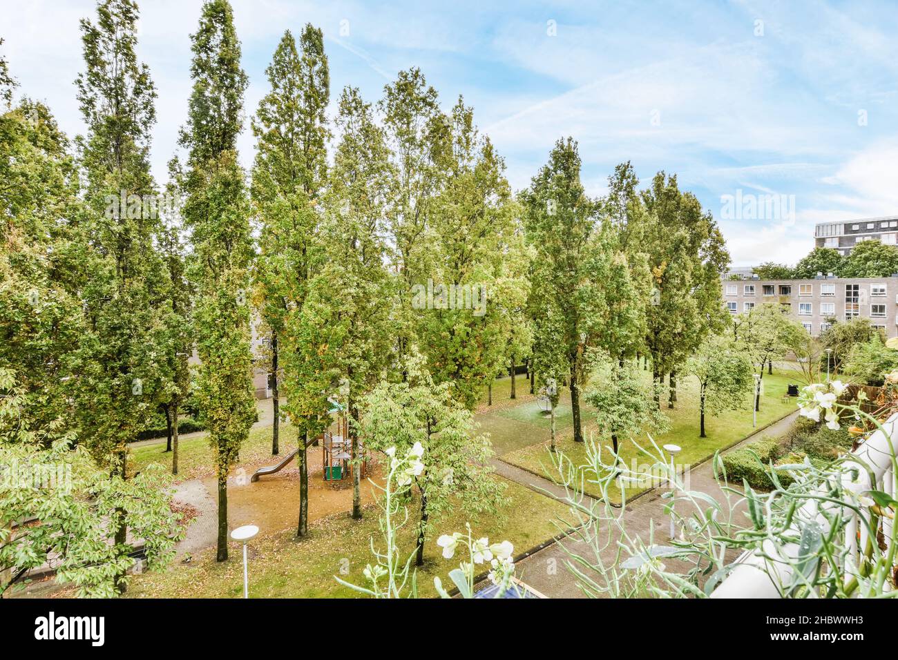 Landscape of a beautiful park with tall trees Stock Photo - Alamy