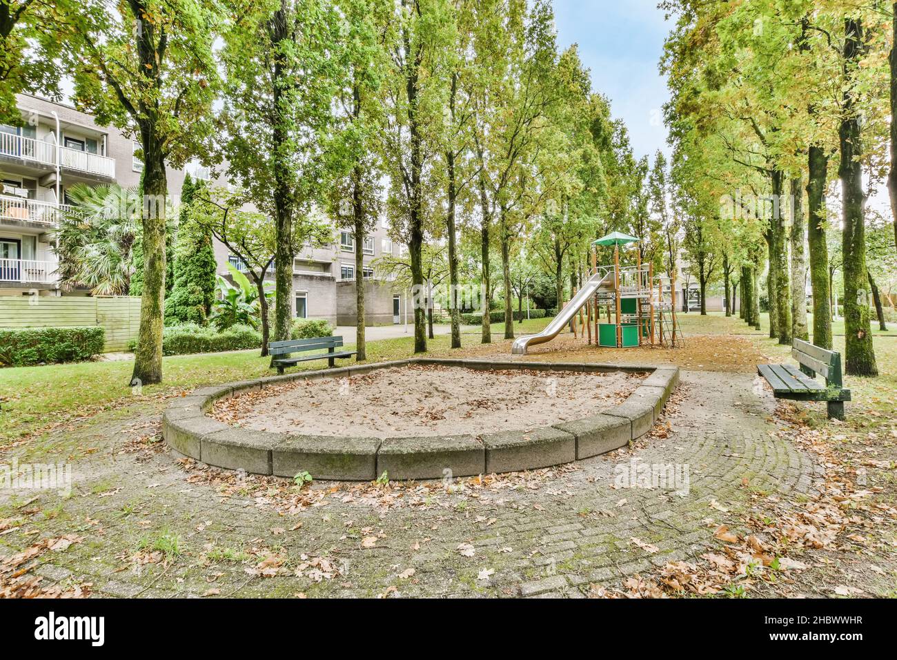 Landscape of a beautiful park with tall trees Stock Photo - Alamy