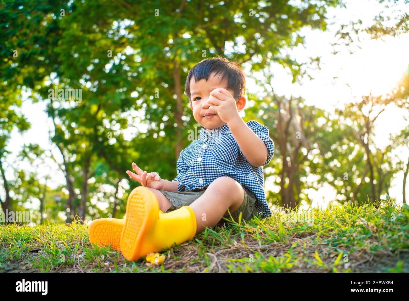 Adorable toddler boy sitting on green grass sunset park outdoor ...