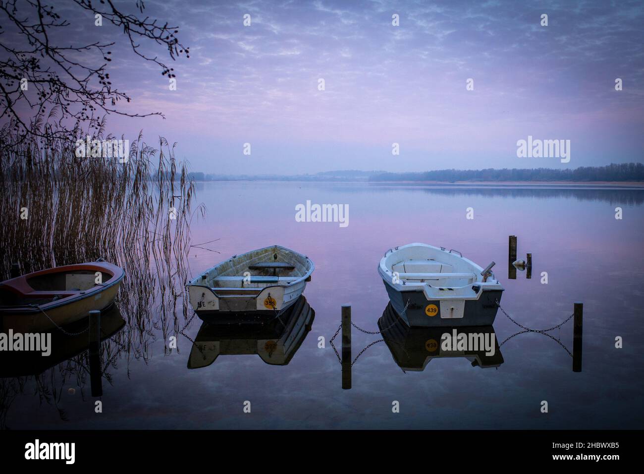 some Rowing boats swim on a lake with quite calm water Stock Photo - Alamy