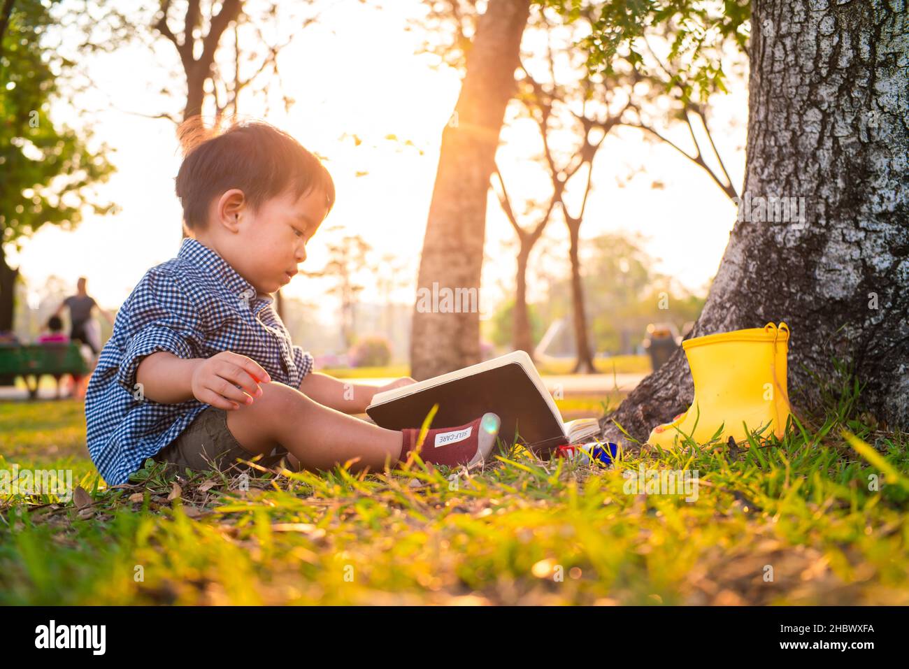 Adorable toddler boy sitting on green grass sunset park outdoor ...
