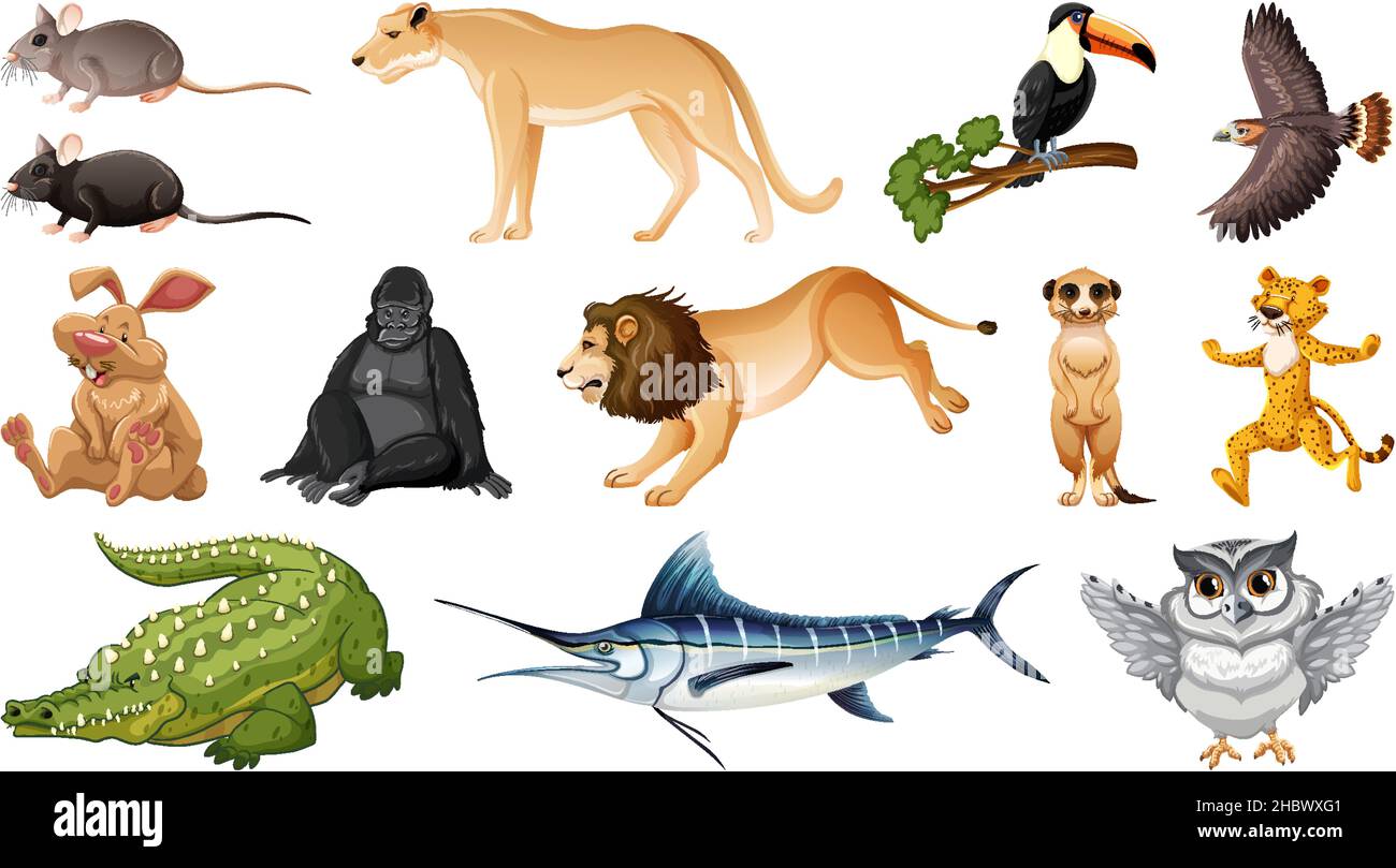 Set of different wild animals cartoon characters illustration Stock ...