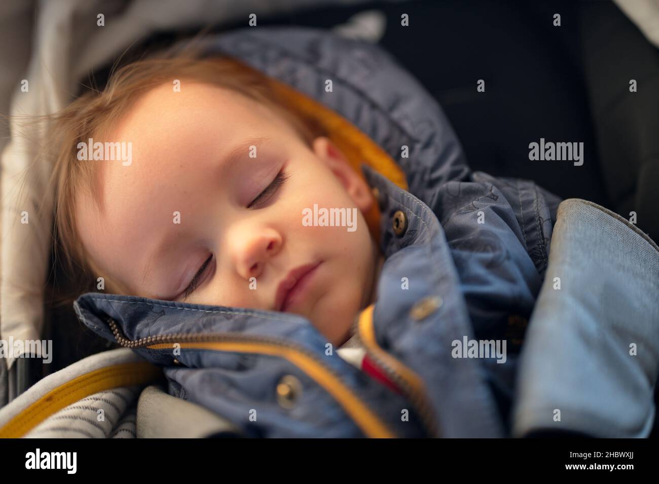 Portrait of cute little boy sleeping in stroller Stock Photo - Alamy