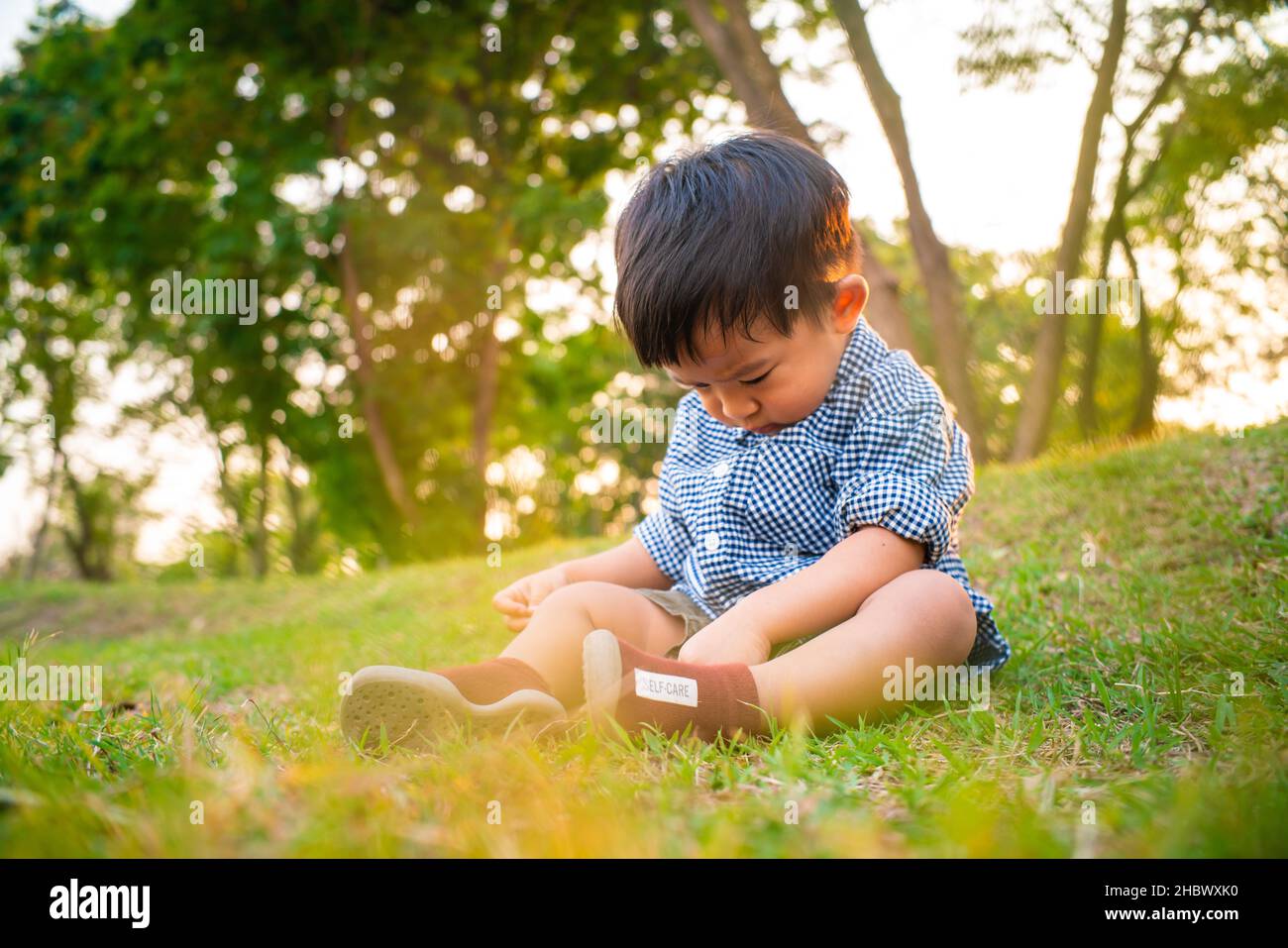 Adorable toddler boy sitting on green grass sunset park outdoor ...