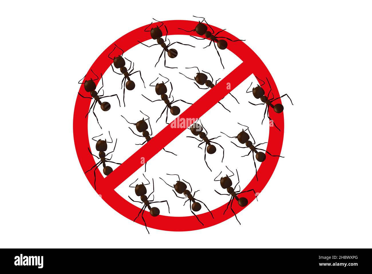 No ant sign. Insect silhouettes in warning sign isolated on white ...