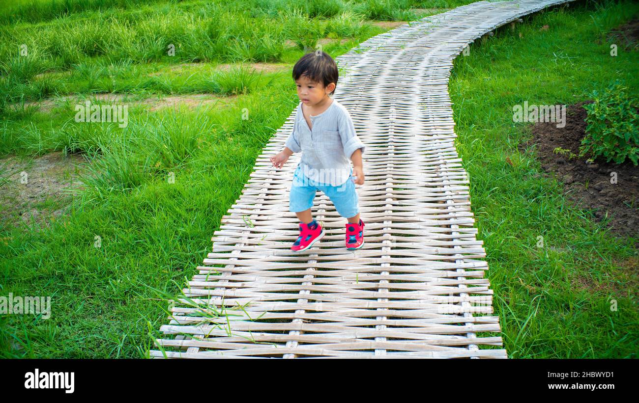 Little toddler boy walking outdoor city park with tree nature learnning ...