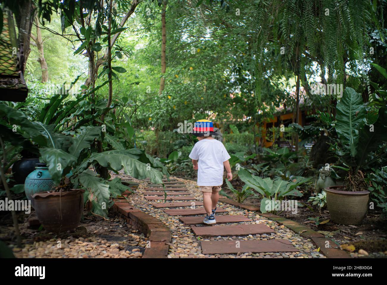 Little boy walking on pathway in home garden park green tree boy in ...