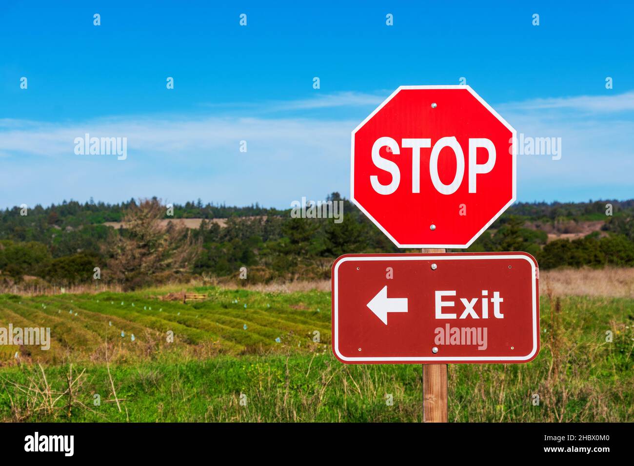 An 8-sided red STOP sign and direction EXIT sign with an arrow pointing ...