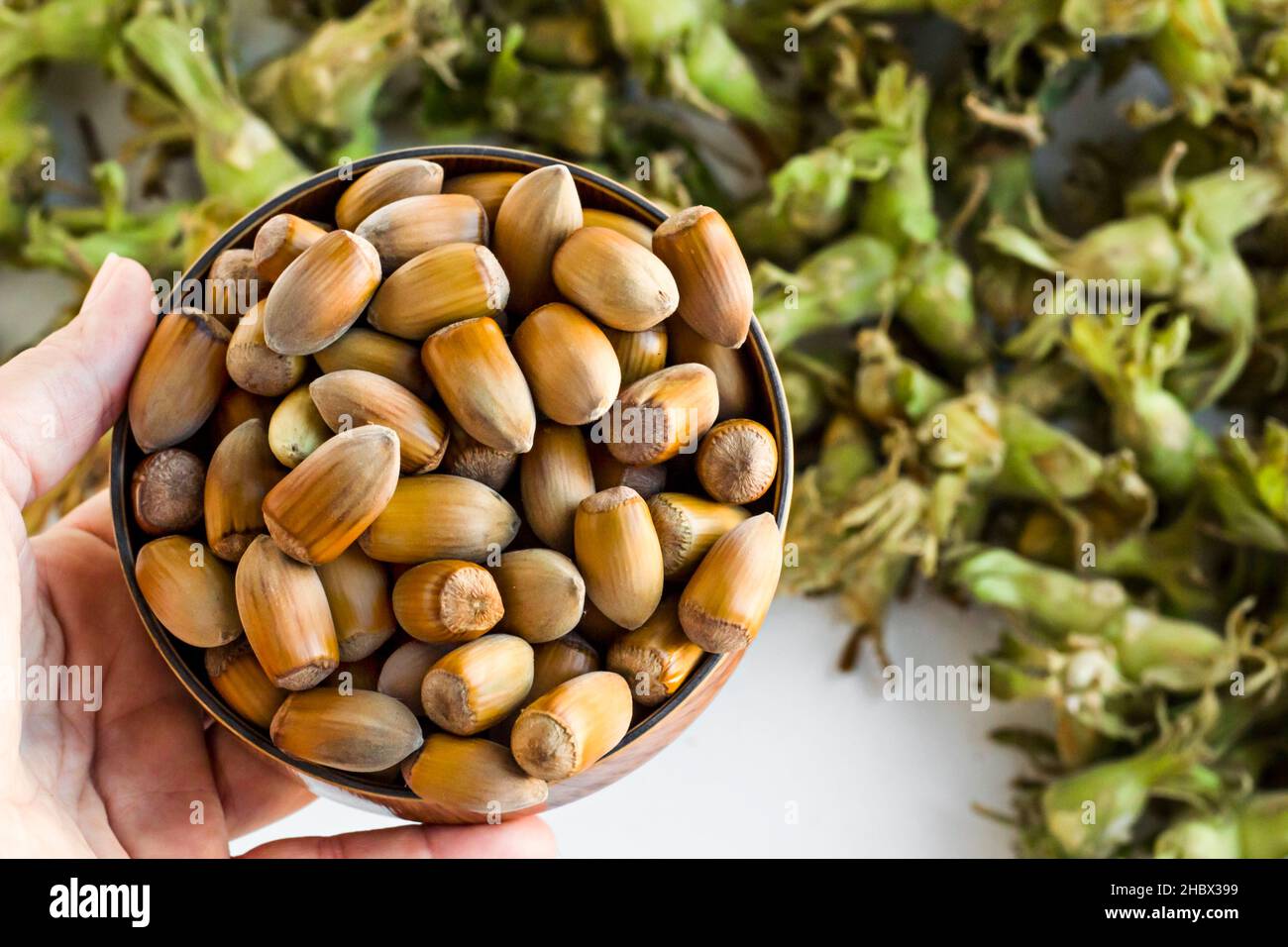 Hazelnuts with own leaves hi-res stock photography and images - Alamy