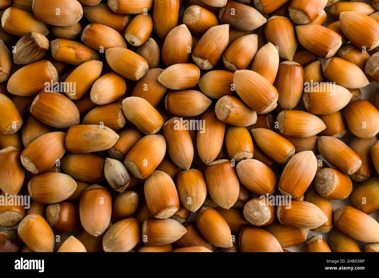 Turkish Shelled Hazelnuts Background,flat layout.Cultivated in the ...