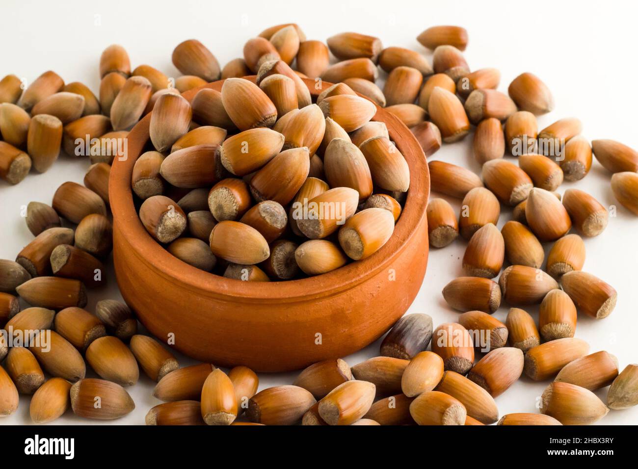 Turkish hazelnuts,from Black Sea Region of Turkey new crop of harvest ...