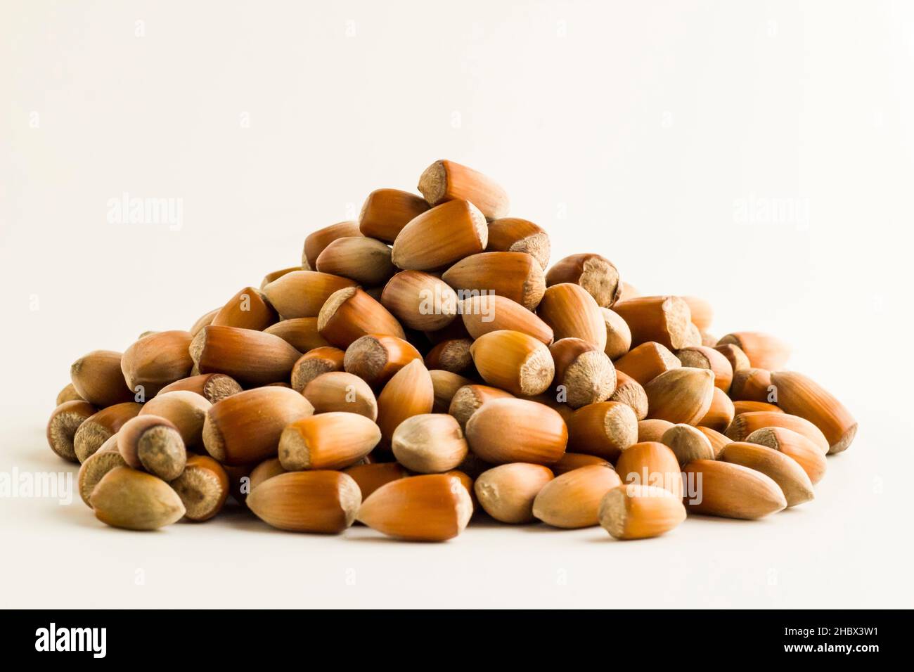 Turkish hazelnuts,from Black Sea Region of Turkey new crop of harvest ...