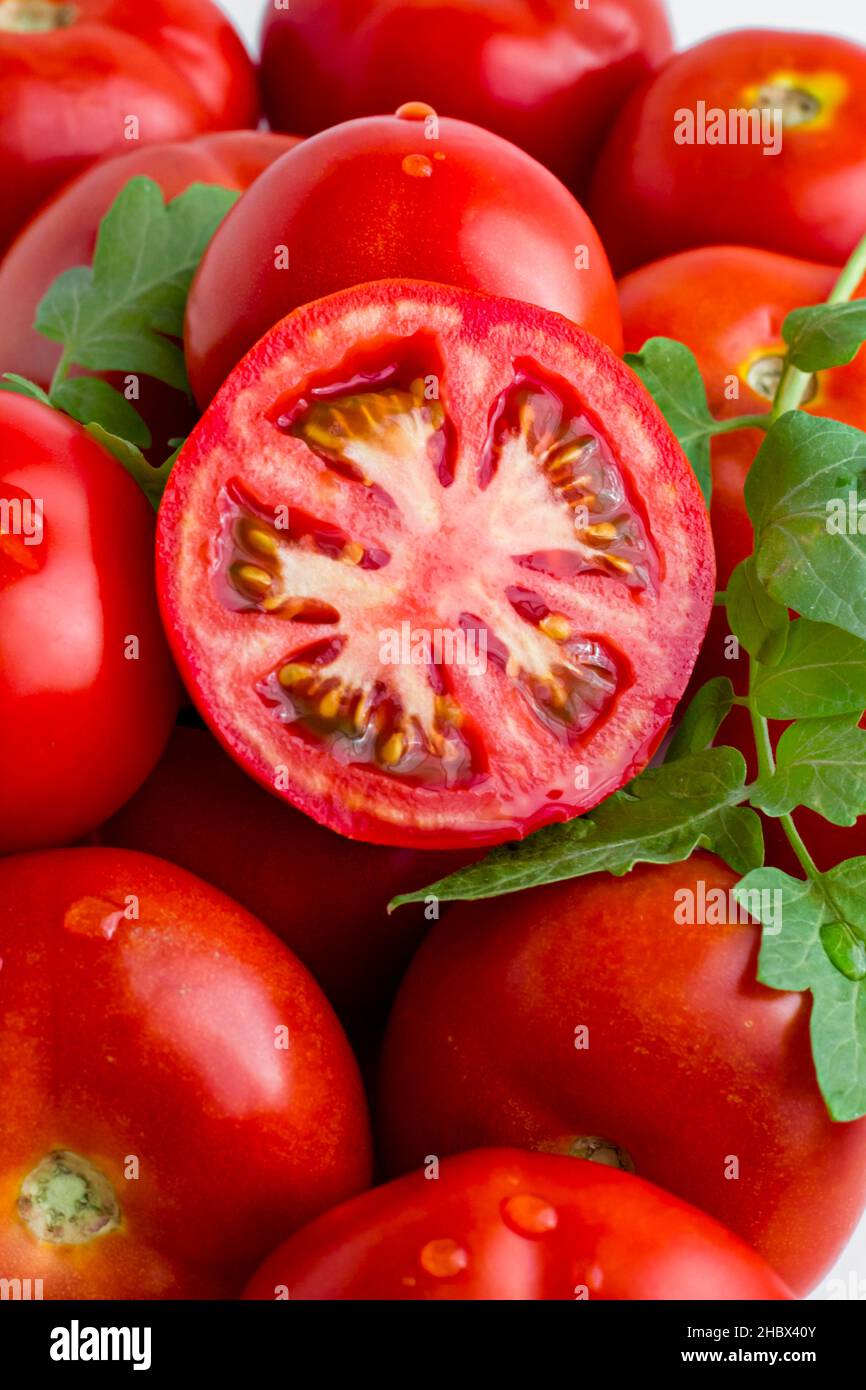 Natural,fresh field tomatoes heap with own leaves and drops of water ...