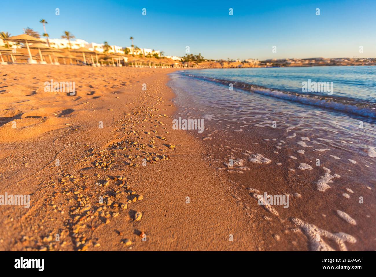 Beautiful beach coast in the Red Sea, Egypt Stock Photo - Alamy