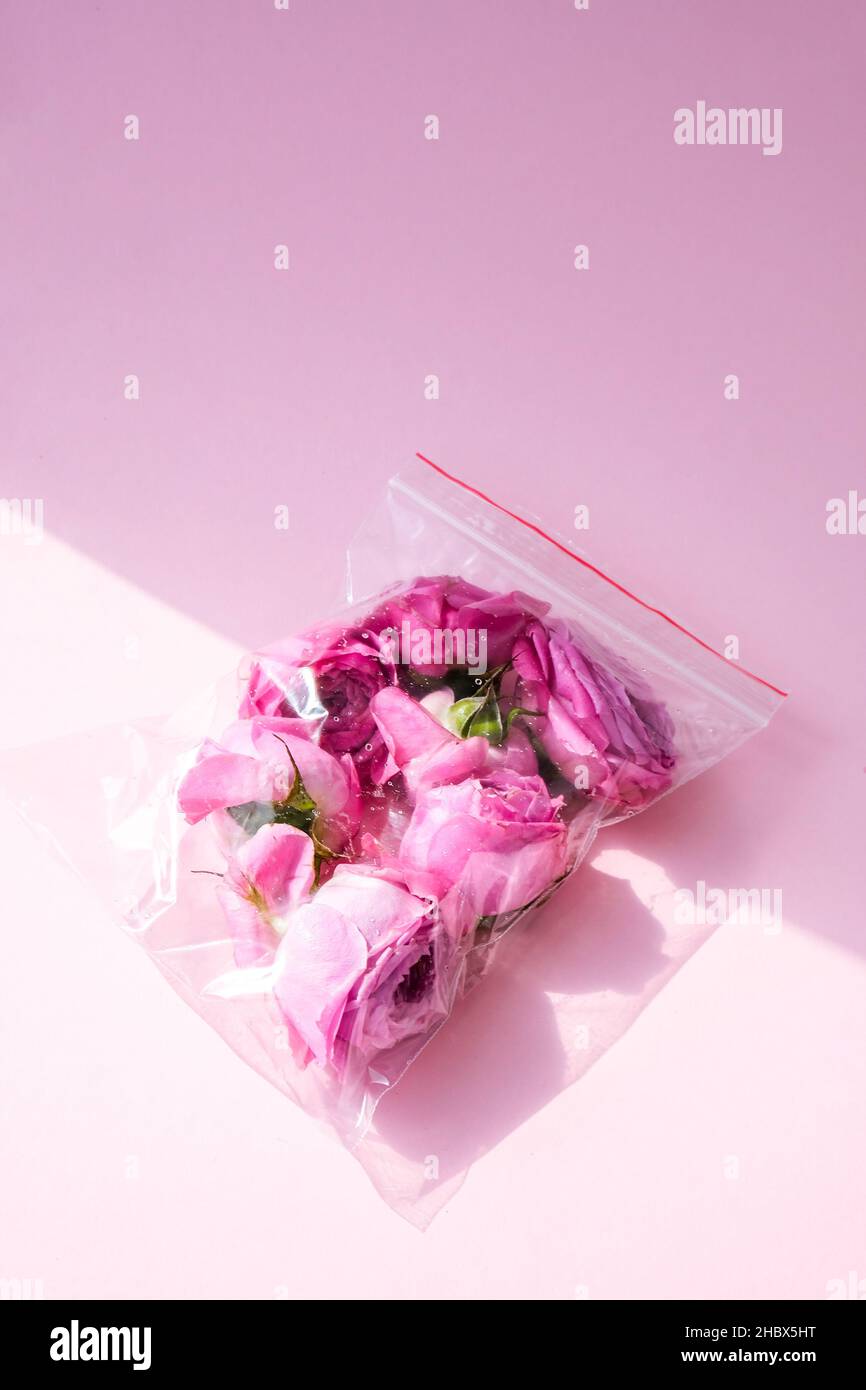 Environmental pollution concept. Flower in a plastic bag. Danger ...
