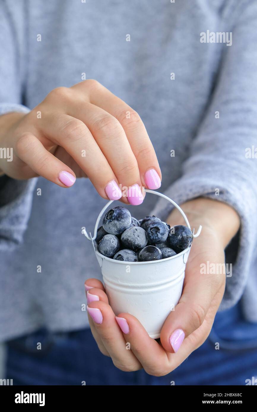 Woman holding metal bucket with Frozen blueberry fruits. Harvesting ...