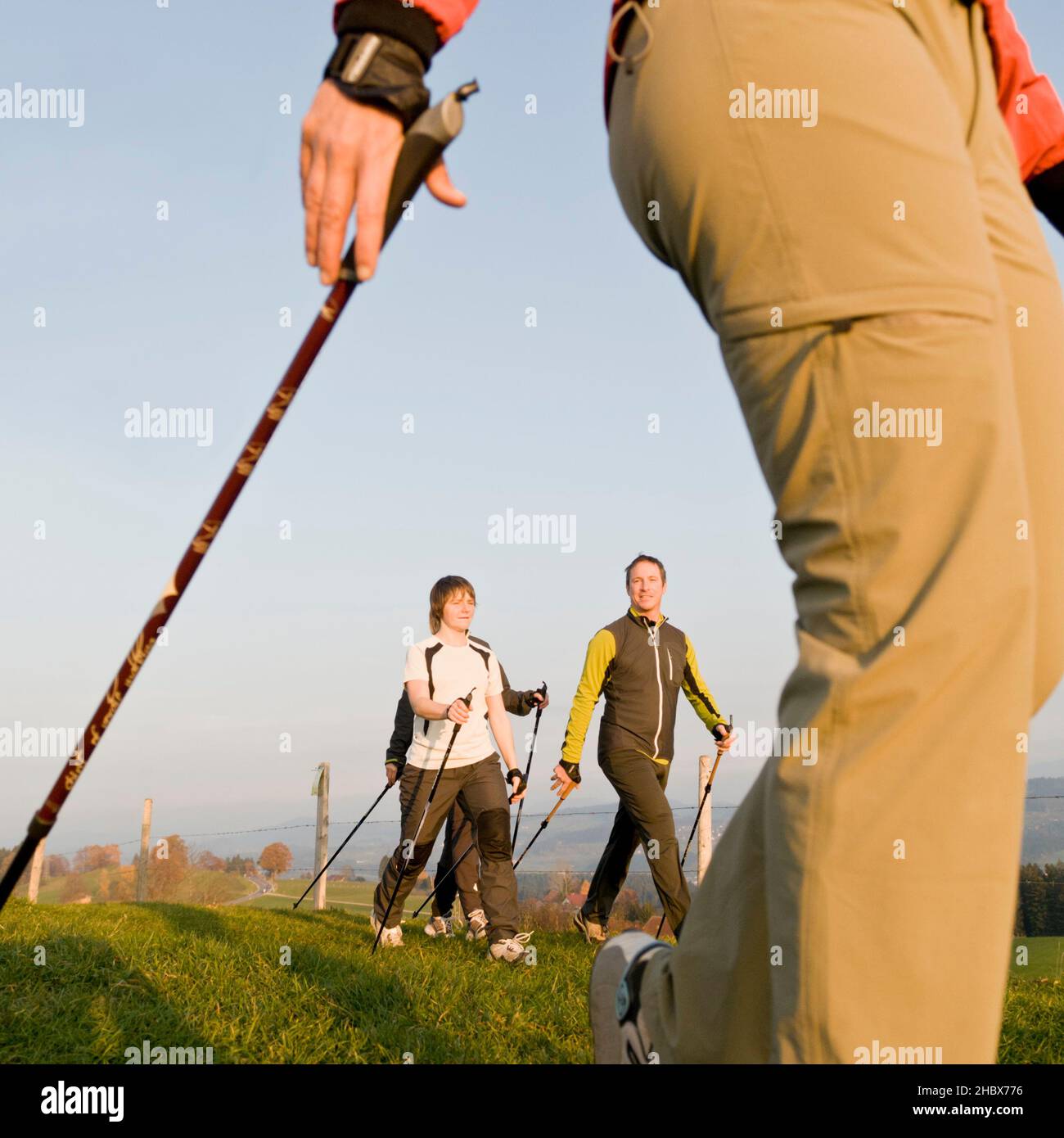 People doing relaxed Nordic Walking session at late afternoon Stock ...