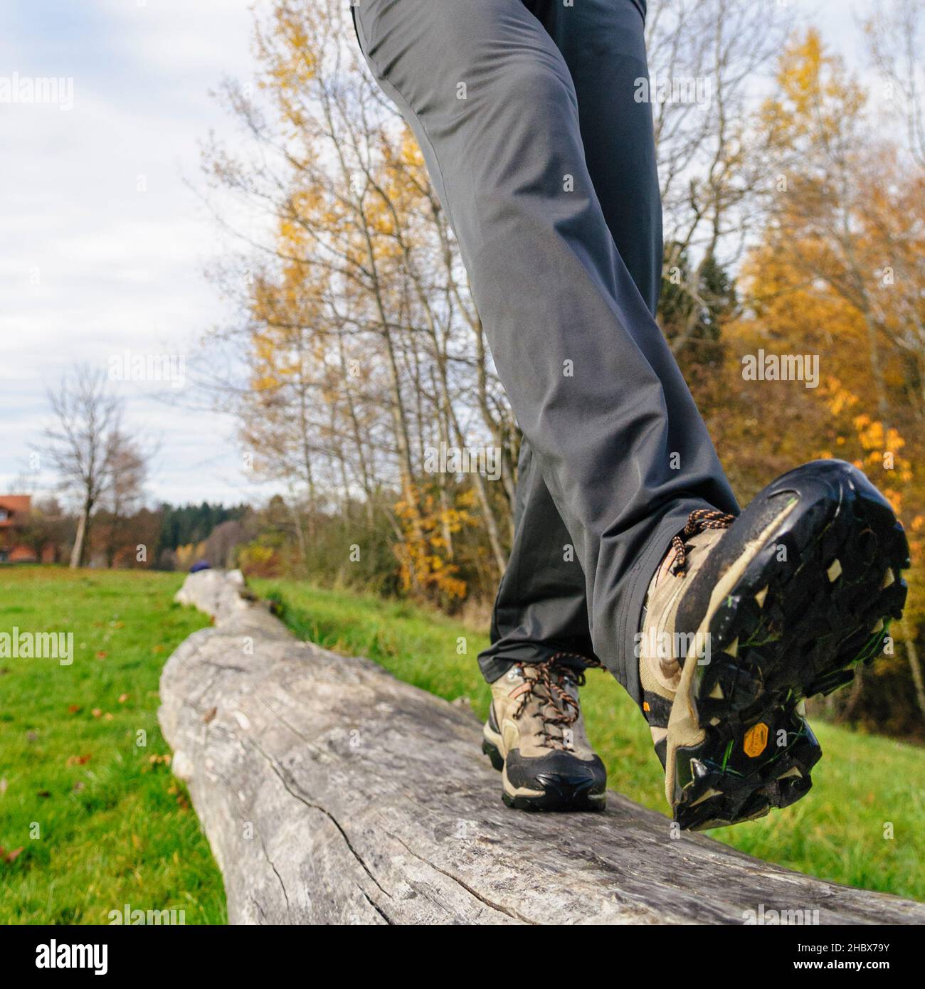 Nordic Walking exercises in falltime Stock Photo - Alamy