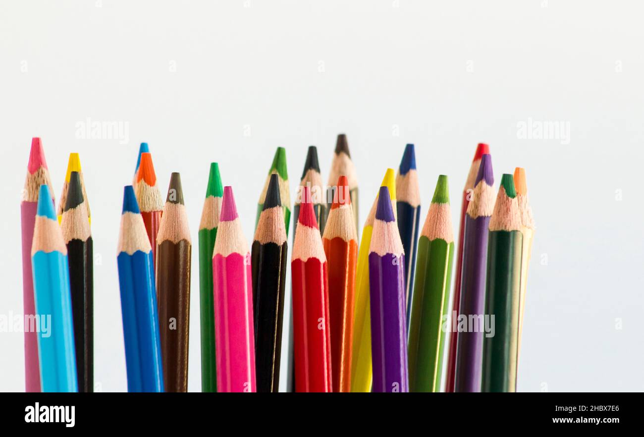 Twenty four, colorful jumbo size,dry crayons standing on the white ...