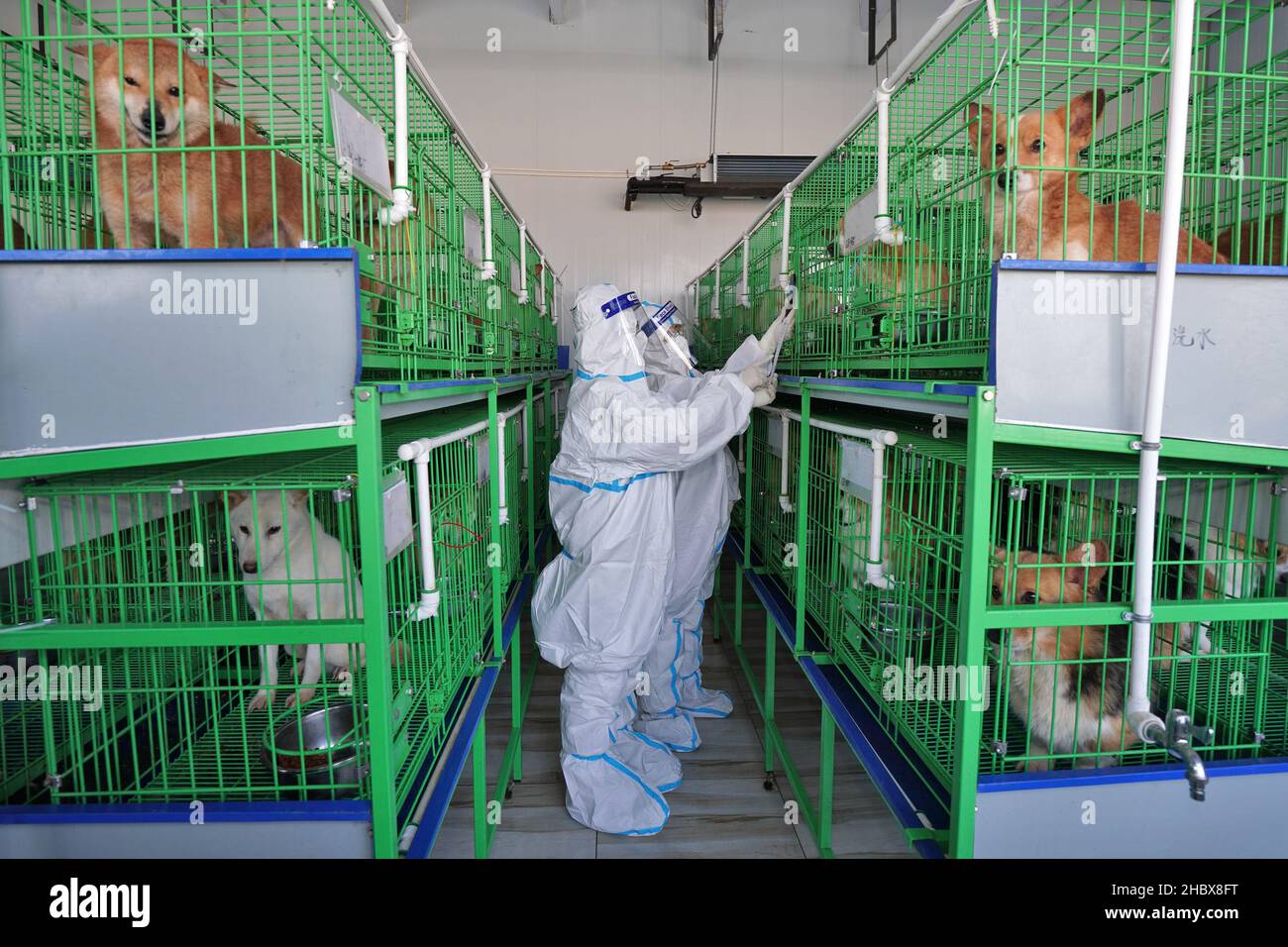 Customs inspection hi-res stock photography and images - Alamy