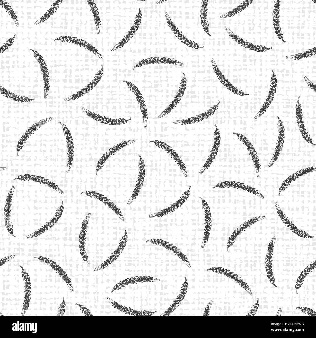 Vector white elegant wheat doodle scattered pattern 06 with canvas ...