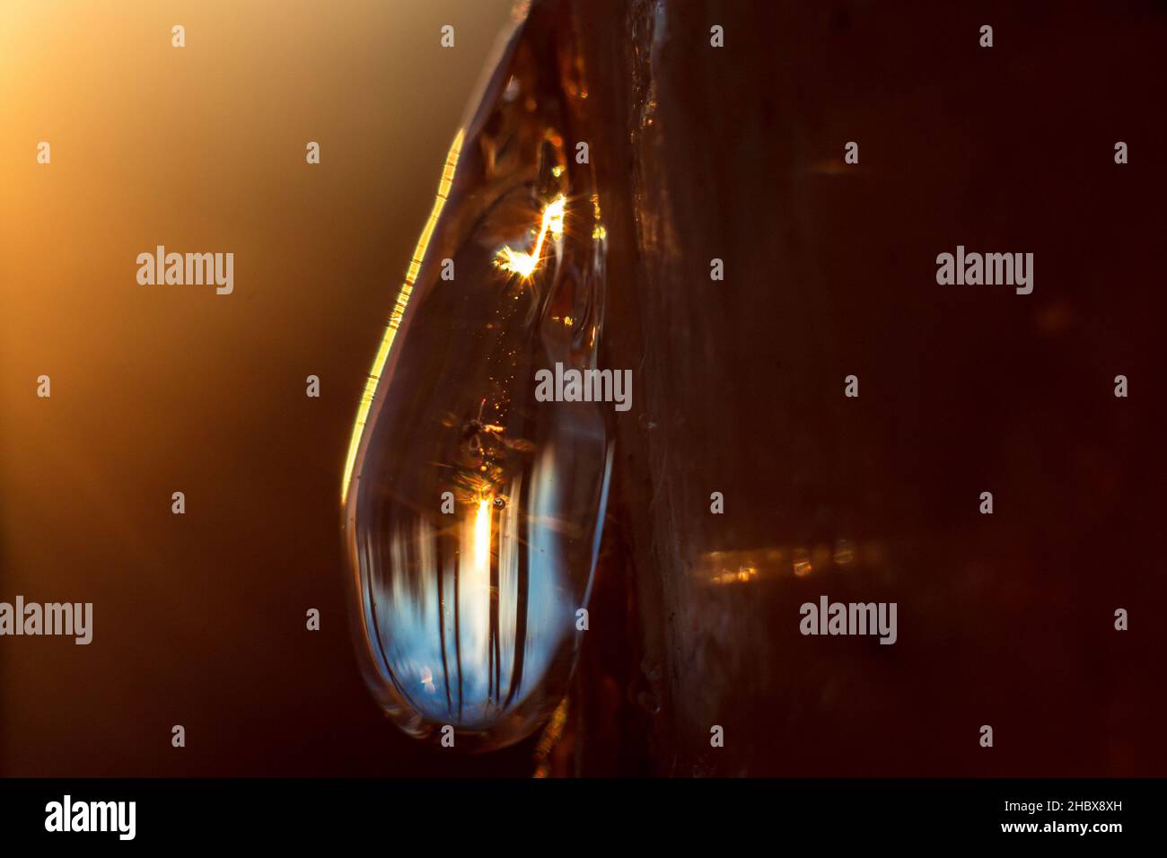 Inverted sunset view and blue sky in a drop of pine resin, a small ...