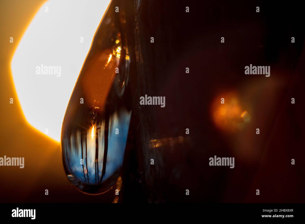 Inverted sunset view and blue sky in a drop of pine resin, a small ...