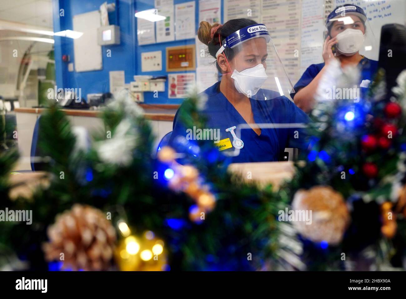 Nurses work at a desk surrounded by Christmas decorations on a ward for ...