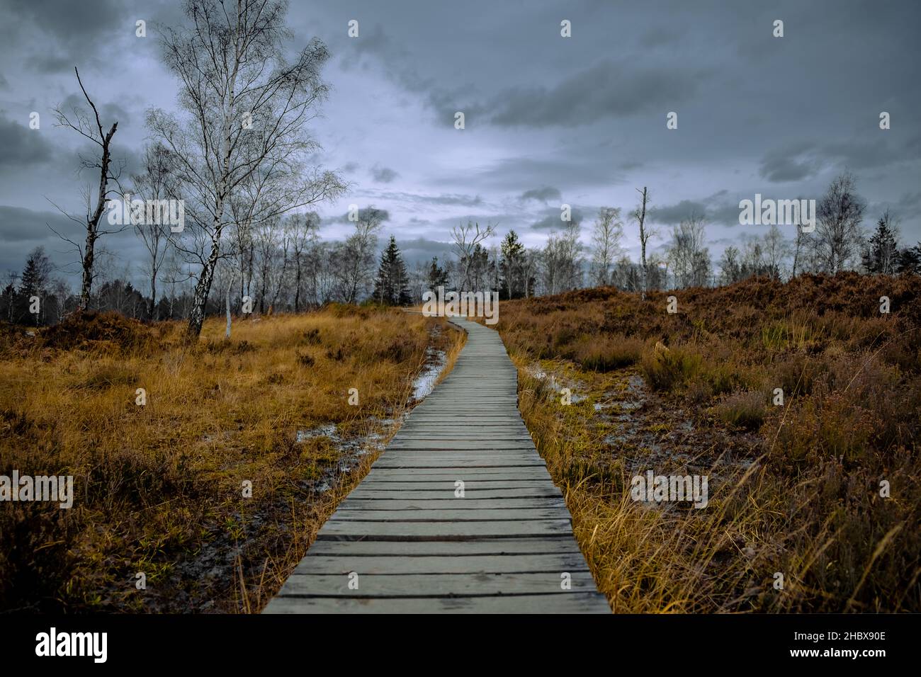 Holzstege hi-res stock photography and images - Alamy