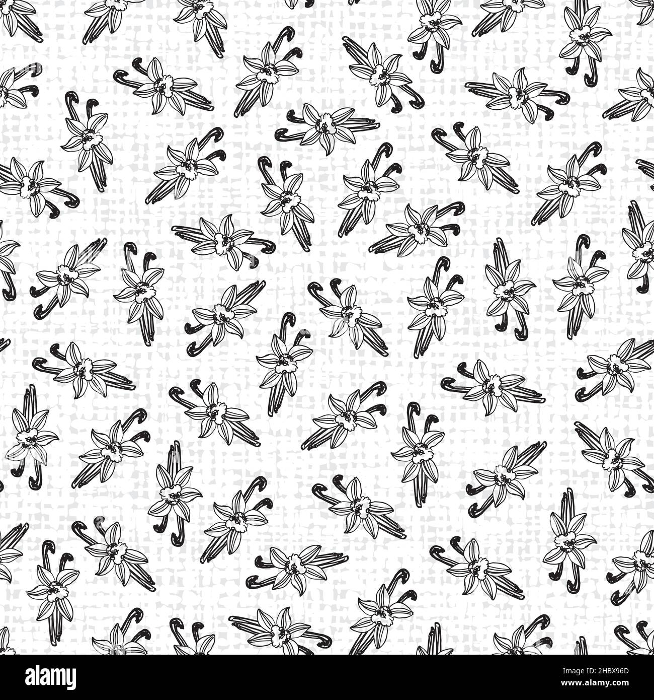 Vector white vanilla flowers and pods scattered seamless pattern 09 ...