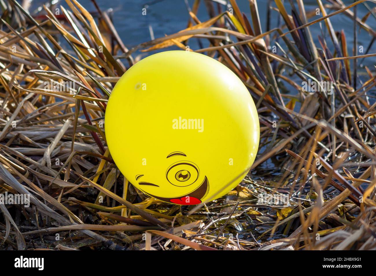 The yellow balloon with the image of a cheerful muzzle stuck on the ...