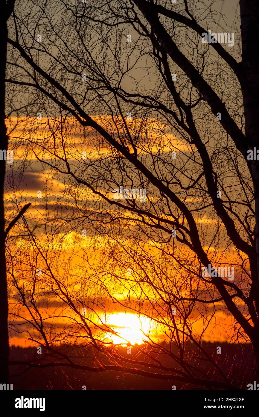 Sunset behind tree hi-res stock photography and images - Alamy