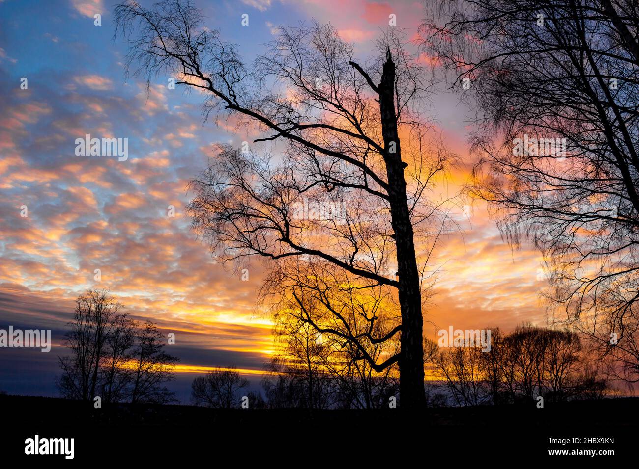 Multicolor sunset hi-res stock photography and images - Alamy