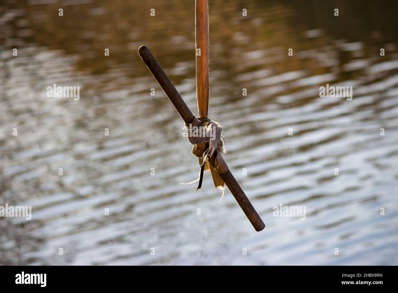 A bungee hanging on a tree above the water Stock Photo - Alamy