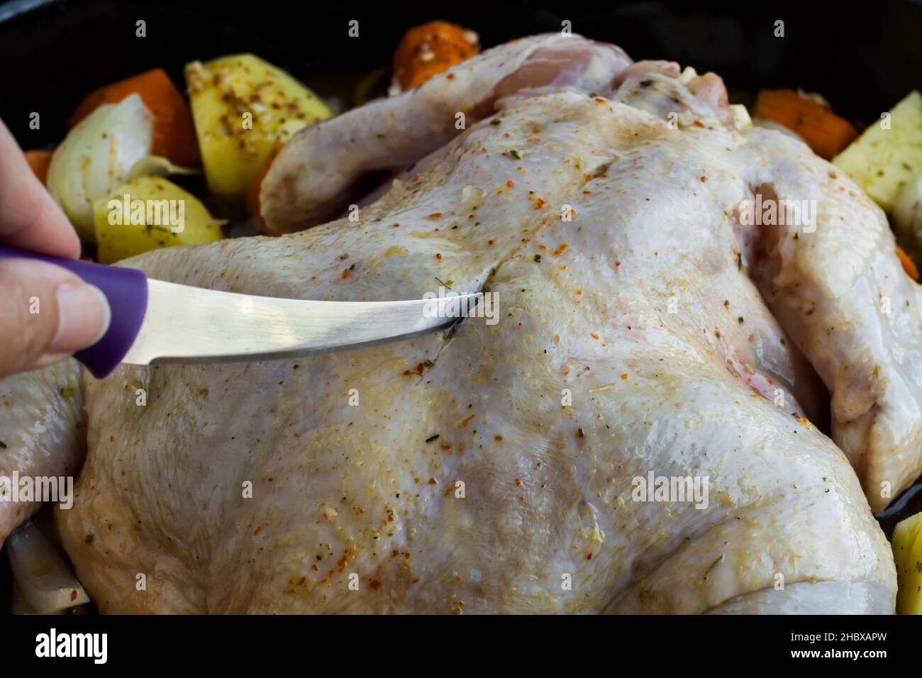 Hand cutting with knife some on turkey before roast oven.Marinaded ...