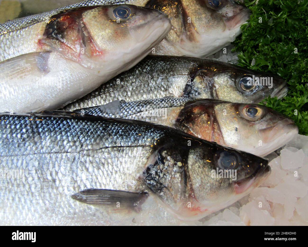Fishmongers counter hi-res stock photography and images - Alamy