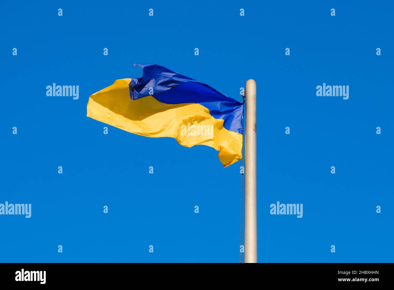 Ukrainian flag of yellow and blue colors branches in the wind against ...