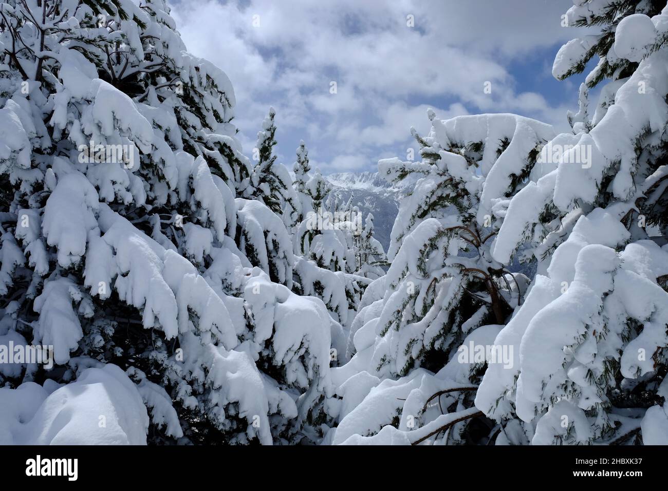 Coll weather hi-res stock photography and images - Alamy