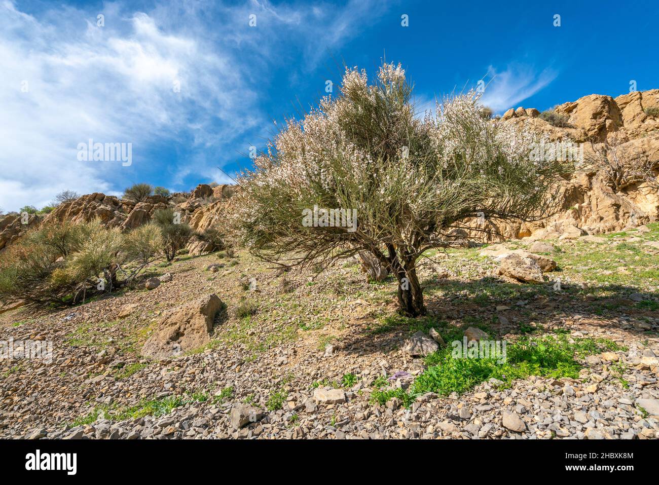 Beauty of iran hi-res stock photography and images - Alamy
