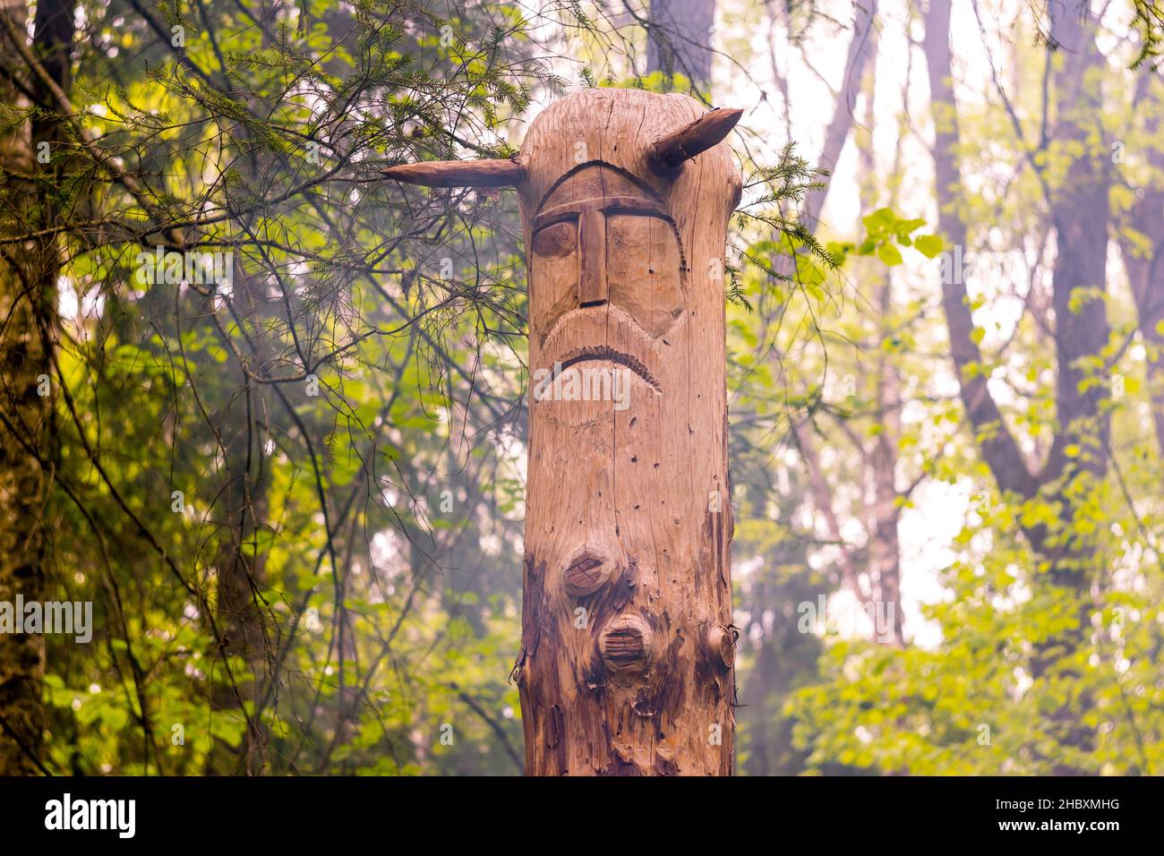 The image of the Slavic deity Veles carved from a tree trunk on a neo ...
