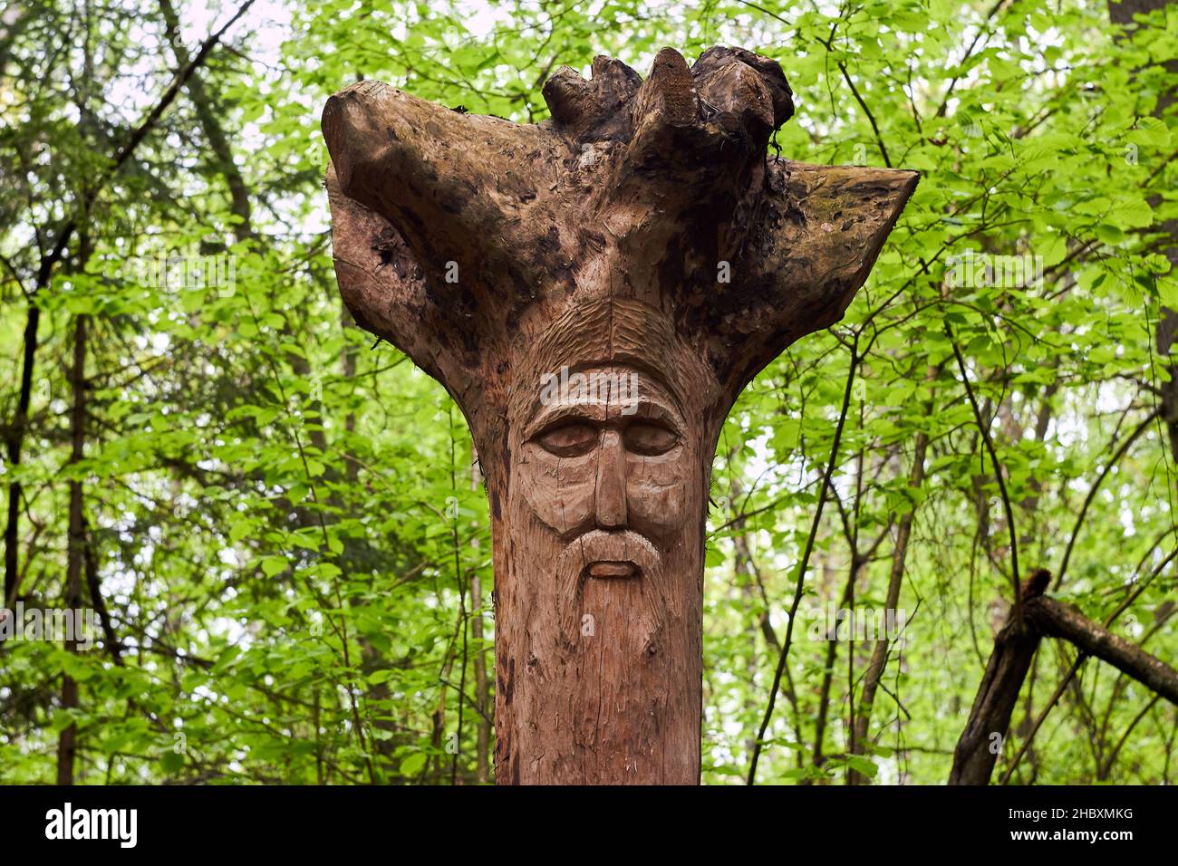 The image of the Slavic deity Veles carved from root of a tree on a neo ...