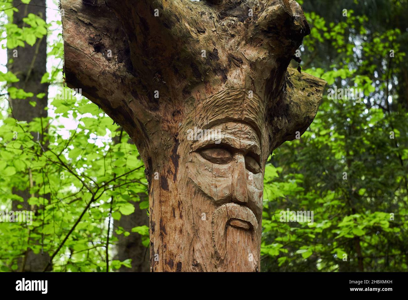 The image of the Slavic deity Veles carved from root of a tree on a neo ...